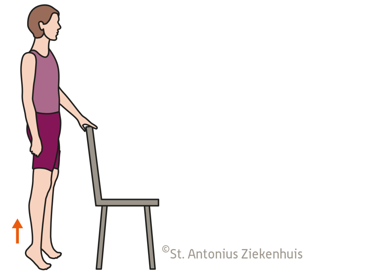 Oefeningen tijdens en na gebruik van de achillotrain (conservatief ...
