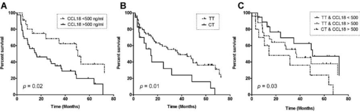 Biomarkeronderzoek bij longfibrose | St. Antonius Ziekenhuis