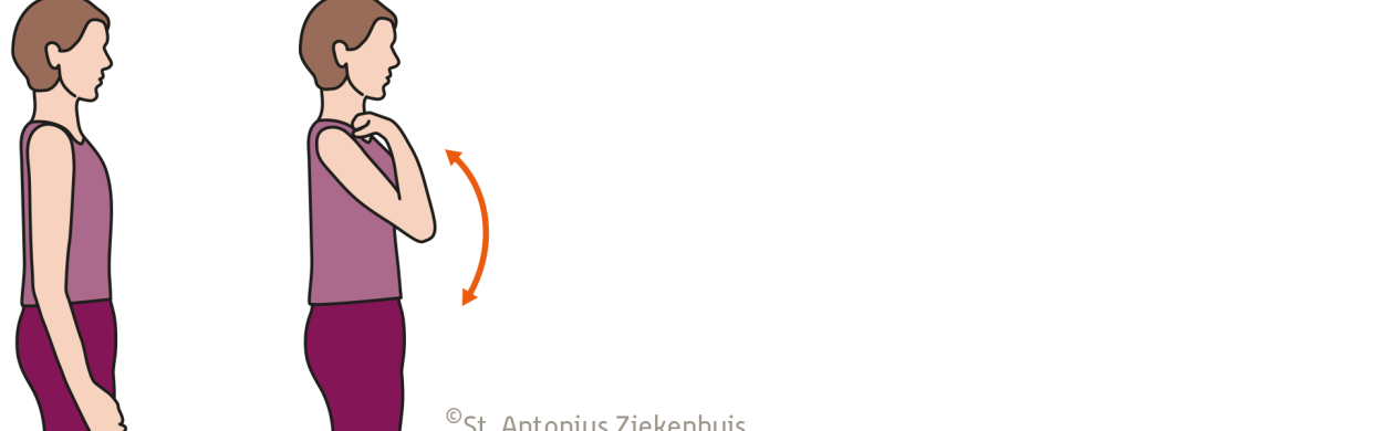 Fysiotherapie na een schouderoperatie | St. Antonius Ziekenhuis