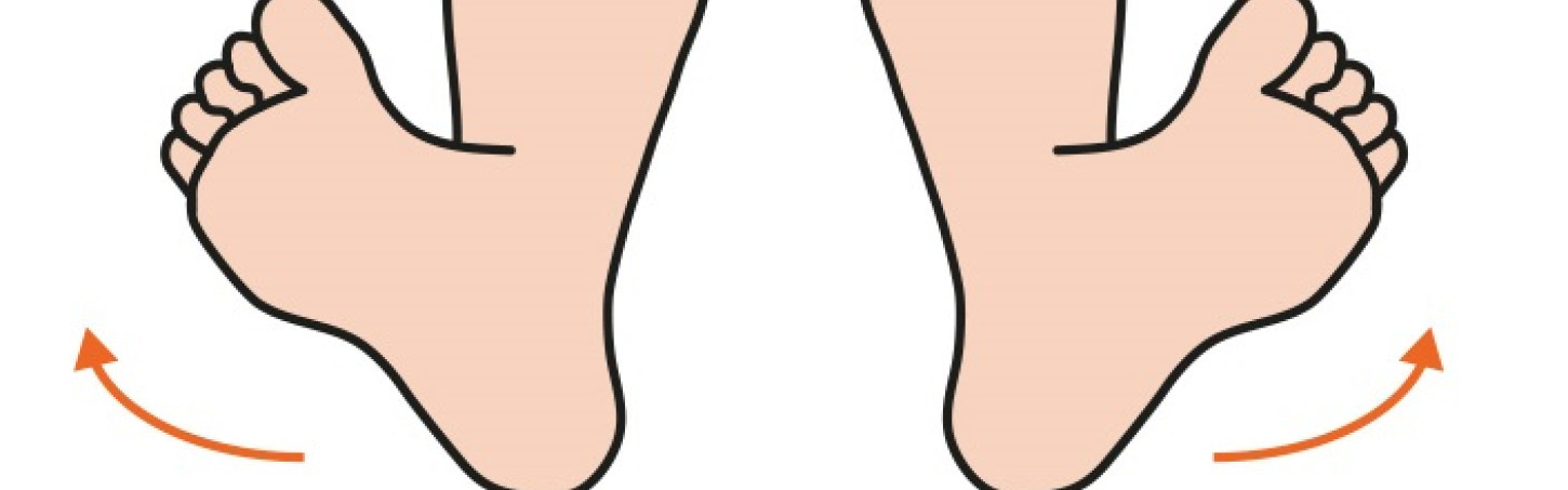 Fysiotherapie oefeningen na breuk van de enkel | St. Antonius Ziekenhuis