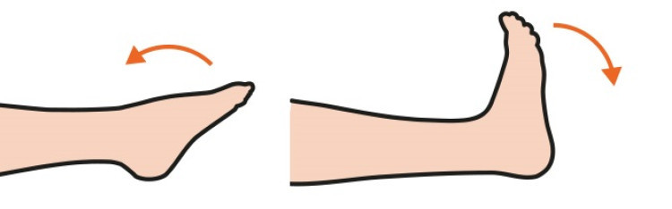 Fysiotherapie oefeningen na breuk van de enkel | St. Antonius Ziekenhuis