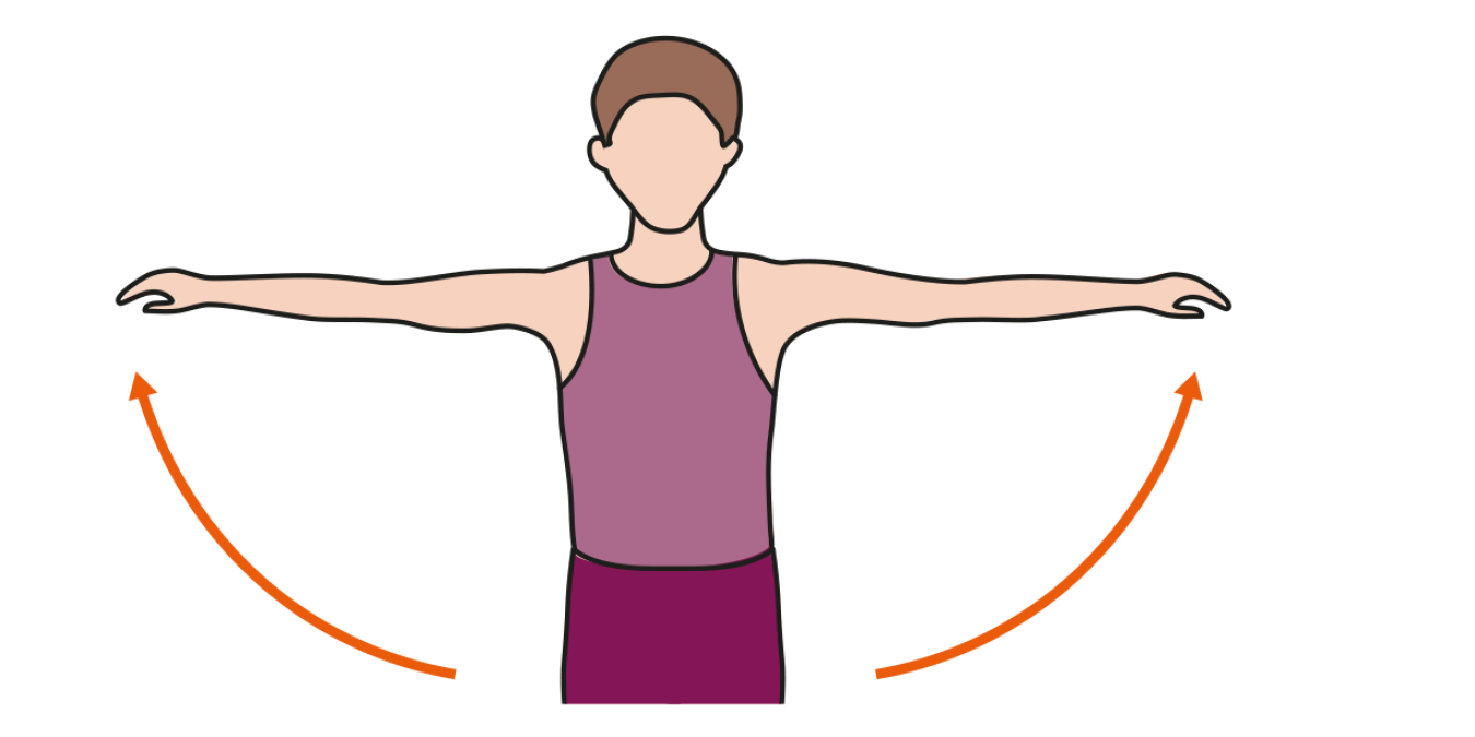 Fysiotherapie na het verwijderen van de eerste rib | St. Antonius ...