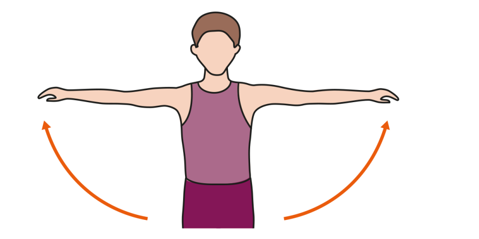 Fysiotherapie na het verwijderen van de eerste rib | St. Antonius ...